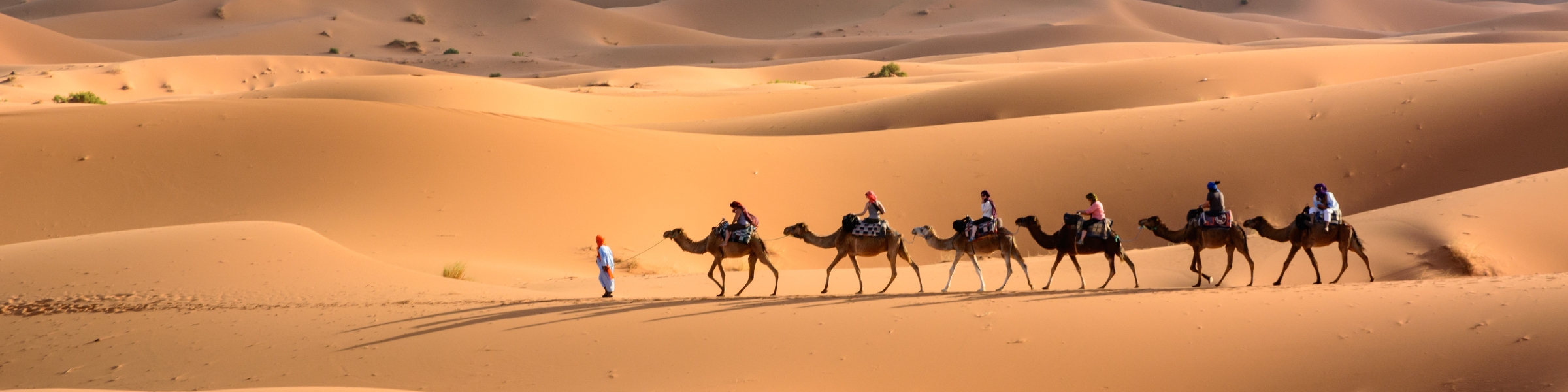 Rondreizen binnen en buiten Europa | Shoestring