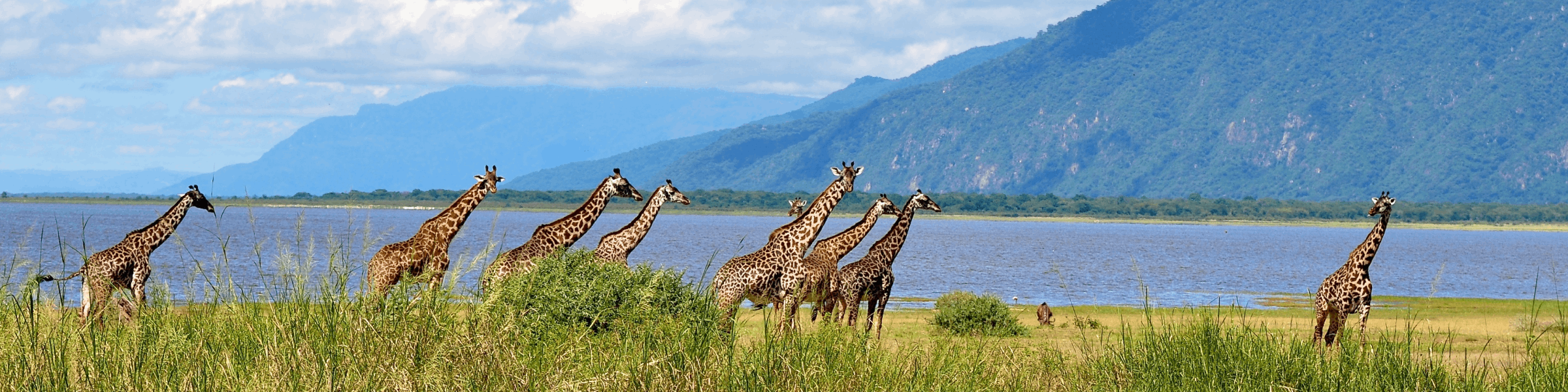 Rondreizen binnen en buiten Europa | Shoestring